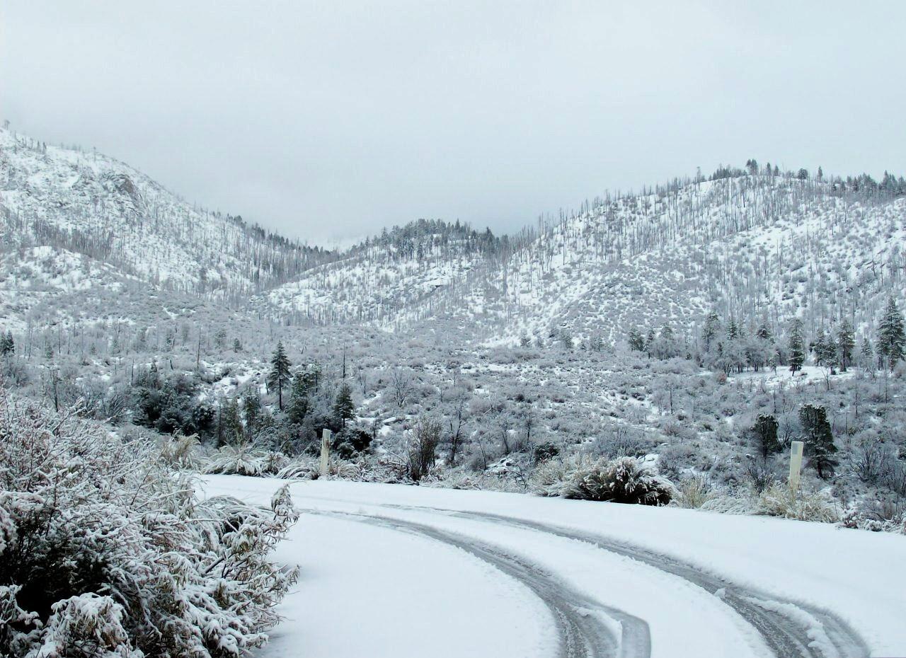 Fun Outdoor Winter Activities To Occupy Your Family